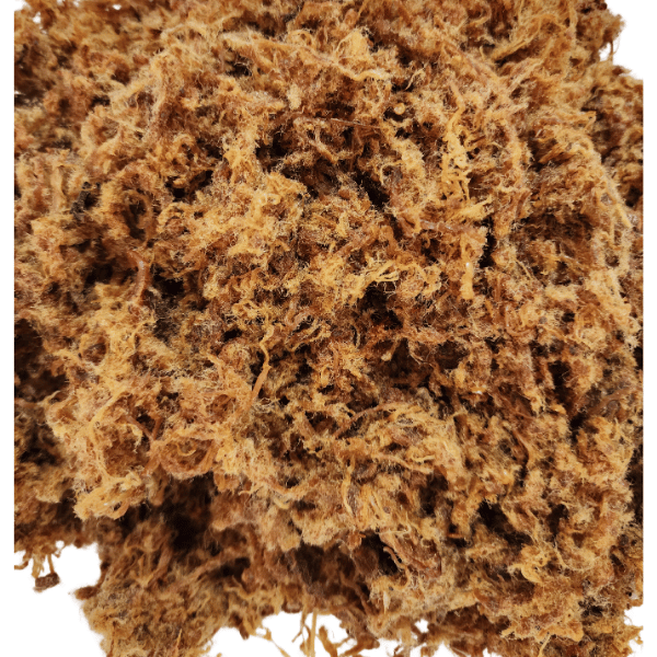 Meat Floss - Dambu Nama (70g) – ChowHQ